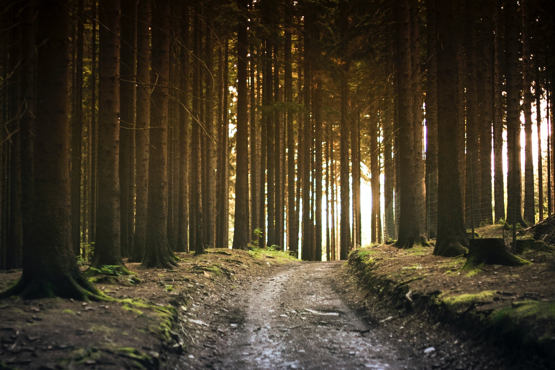 4 Simple Ways to Calm Down When You Feel Upset | San Diego Christian ...